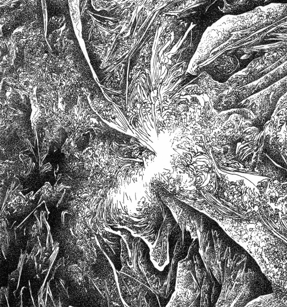 Fuite en avant – Jérôme Minard